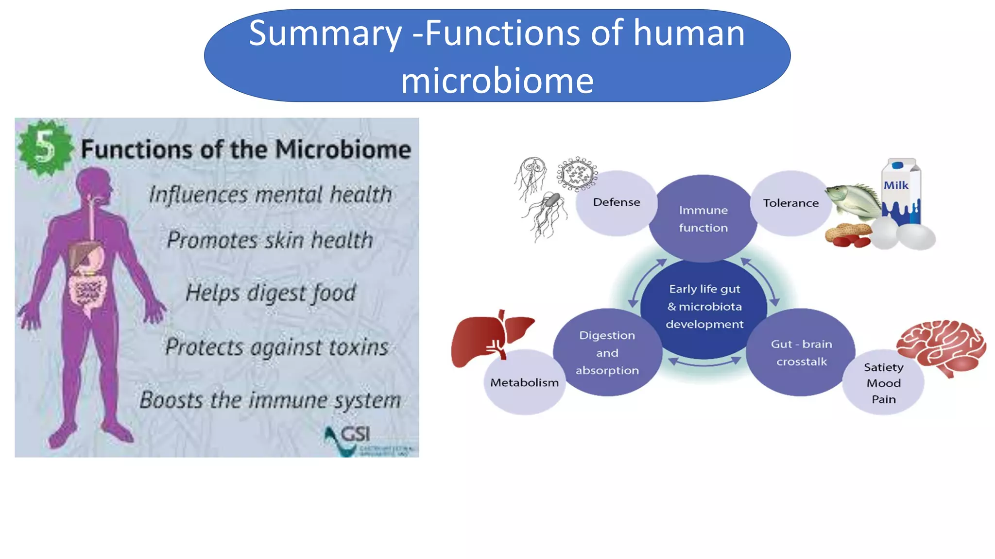Human Microbiome.pptx