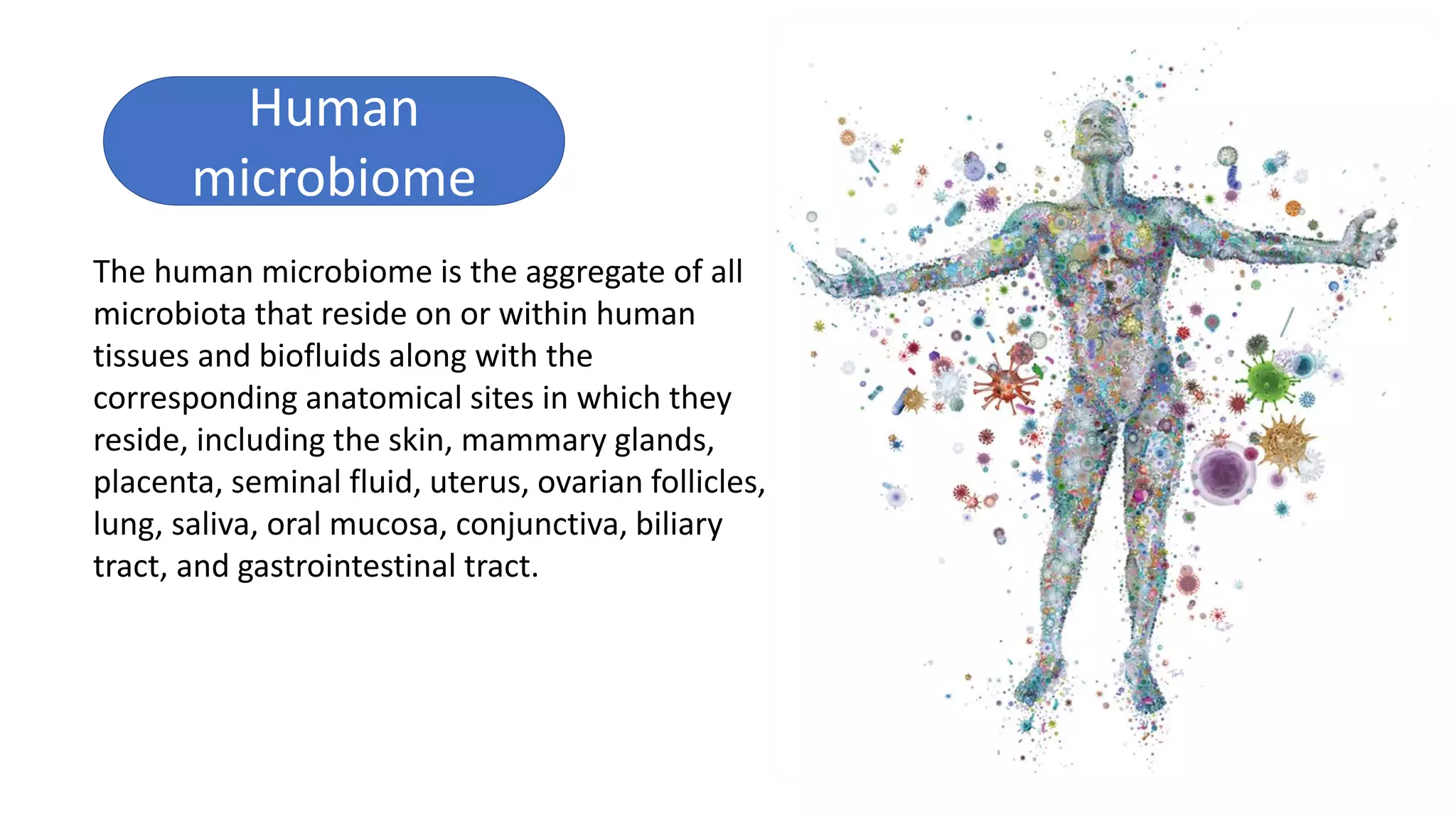 Human Microbiome.pptx | Skin and Dermatology | Diseases and Conditions