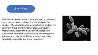 Human Microbiome.pptx | Skin and Dermatology | Diseases and Conditions