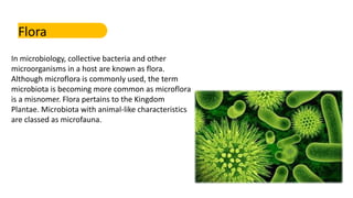 Human Microbiome.pptx | Skin and Dermatology | Diseases and Conditions