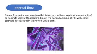 Human Microbiome.pptx | Skin and Dermatology | Diseases and Conditions