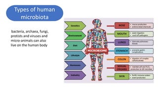 Human Microbiome.pptx | Skin and Dermatology | Diseases and Conditions