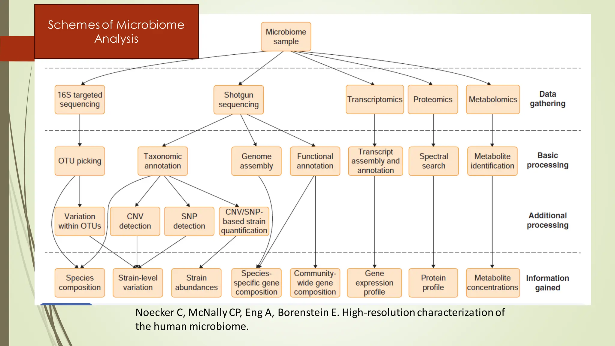 Human Microbiome Microbiota Faecal transplant.pdf | Dental Health ...