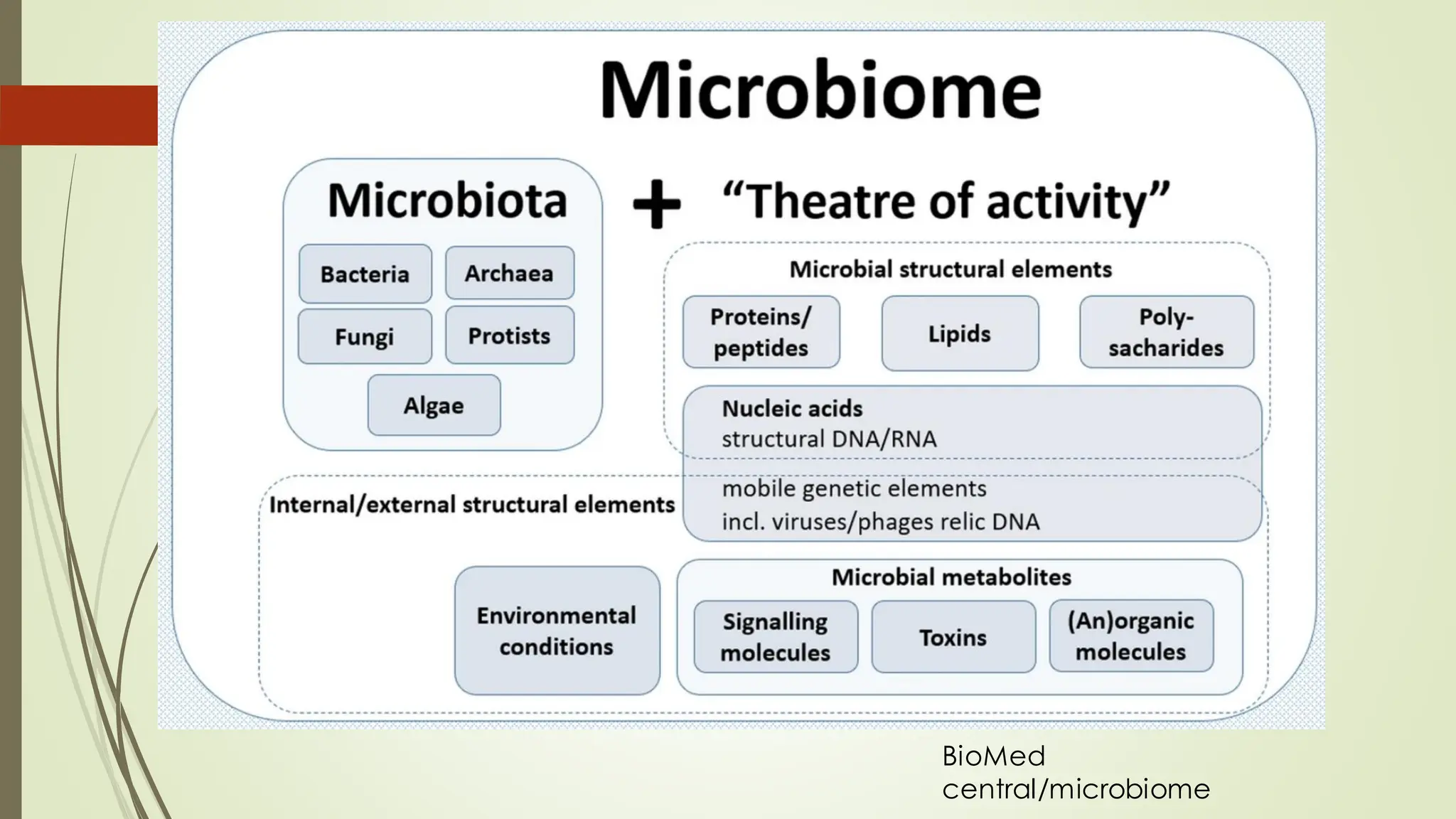 Human Microbiome Microbiota Faecal transplant.pdf | Dental Health ...