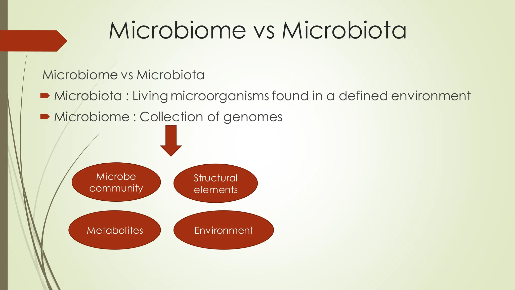 Human Microbiome Microbiota Faecal transplant.pdf | Dental Health ...