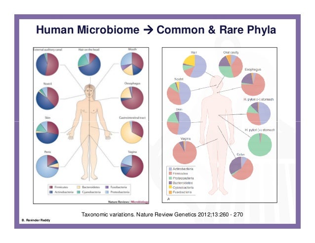 Human Microbiome - An Evolving Clinical Frontier