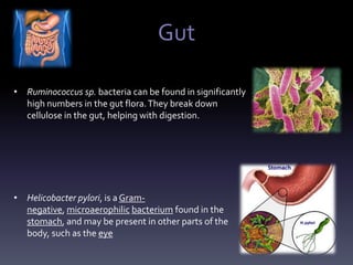 Human microbiota | PPT