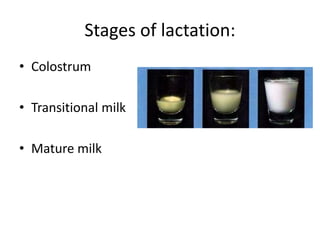 Human milk composition jc | PPTX