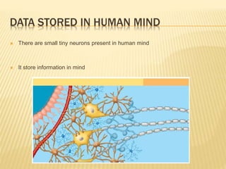 Human mind | PPTX