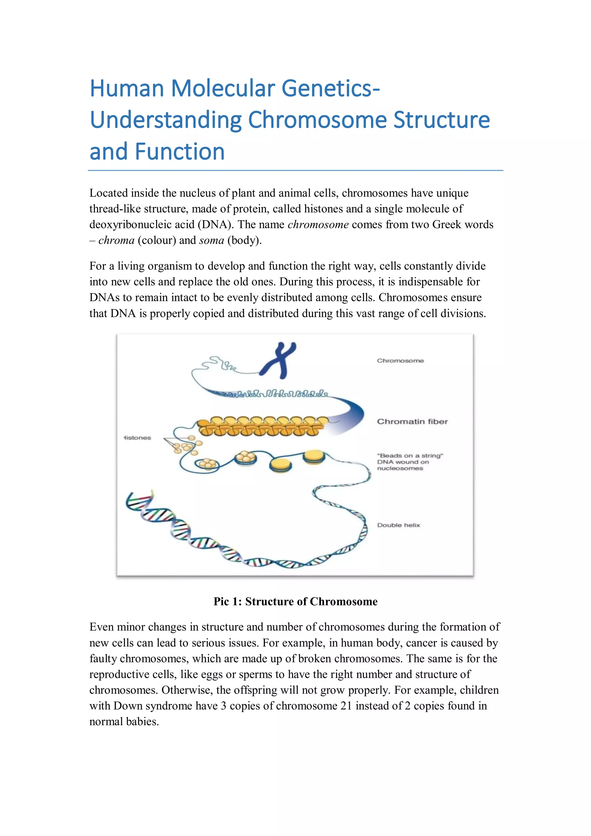 Human Molecular Genetics- Understanding Chromosome Structure and Function | PDF