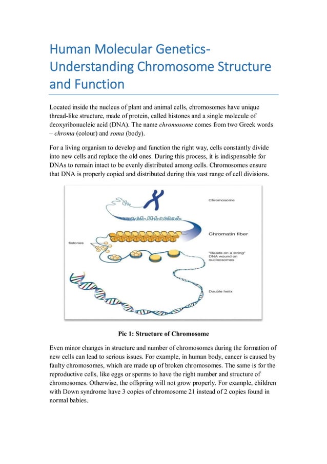 Human Molecular Genetics- Understanding Chromosome Structure and ...
