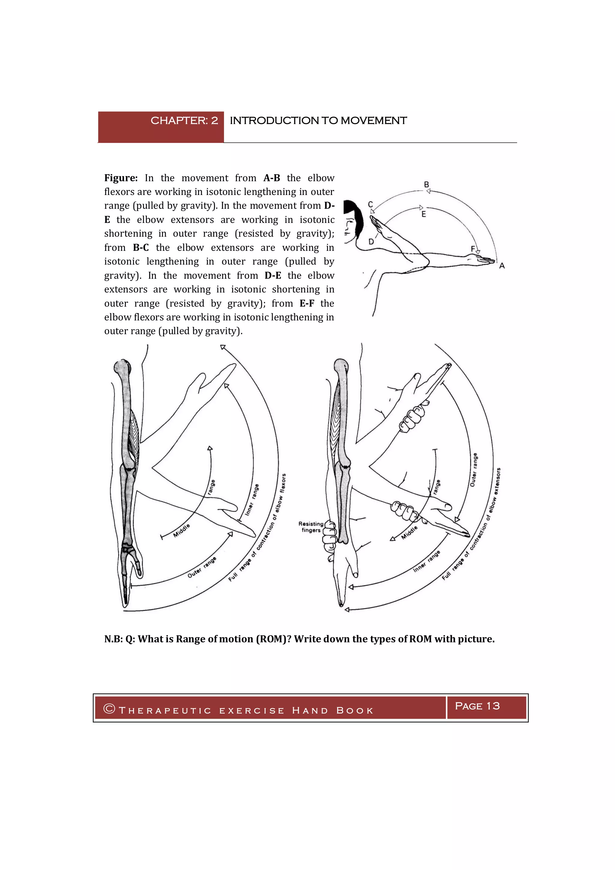 Human movement | PDF | Biological Sciences | Science