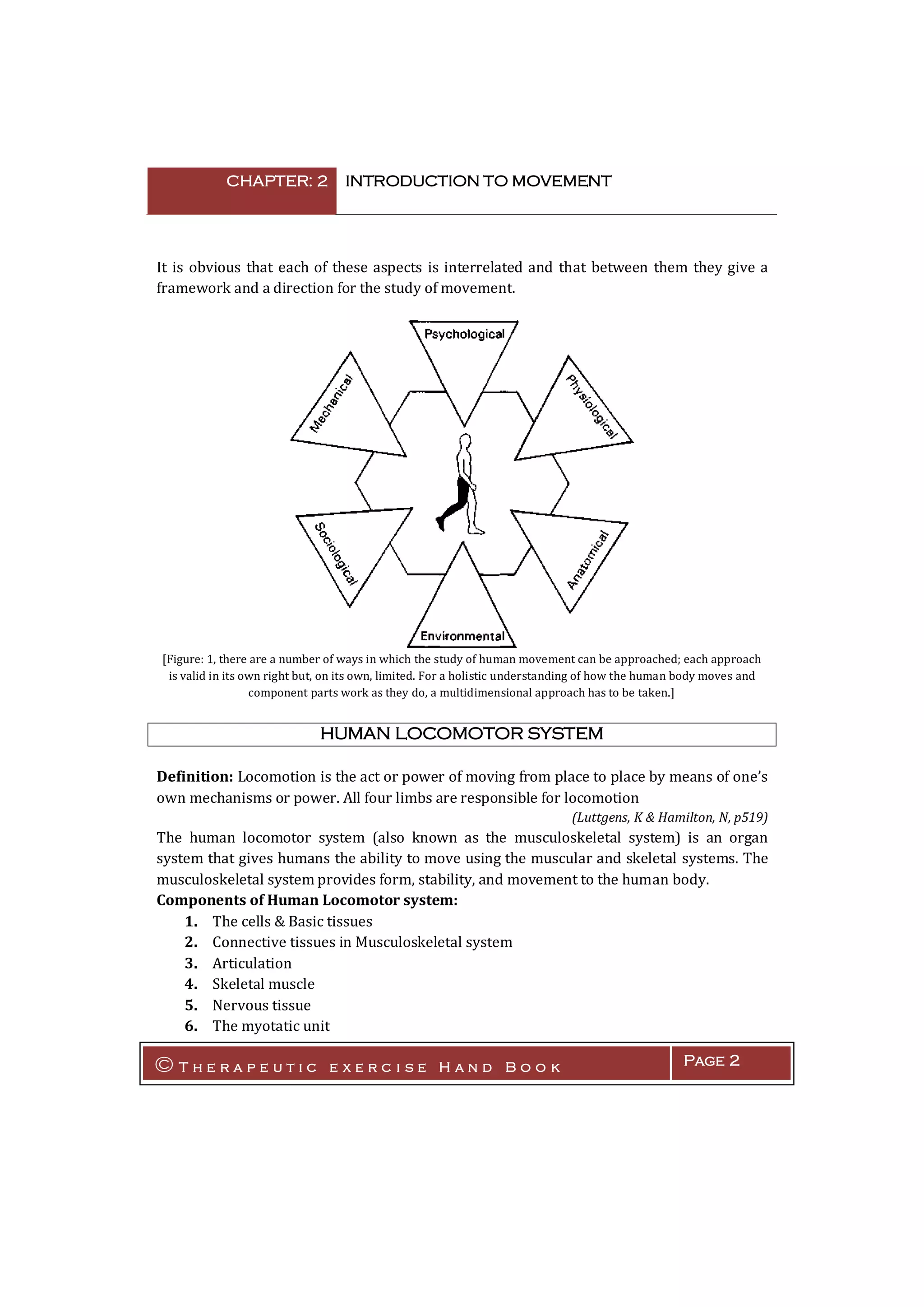 Human movement | PDF