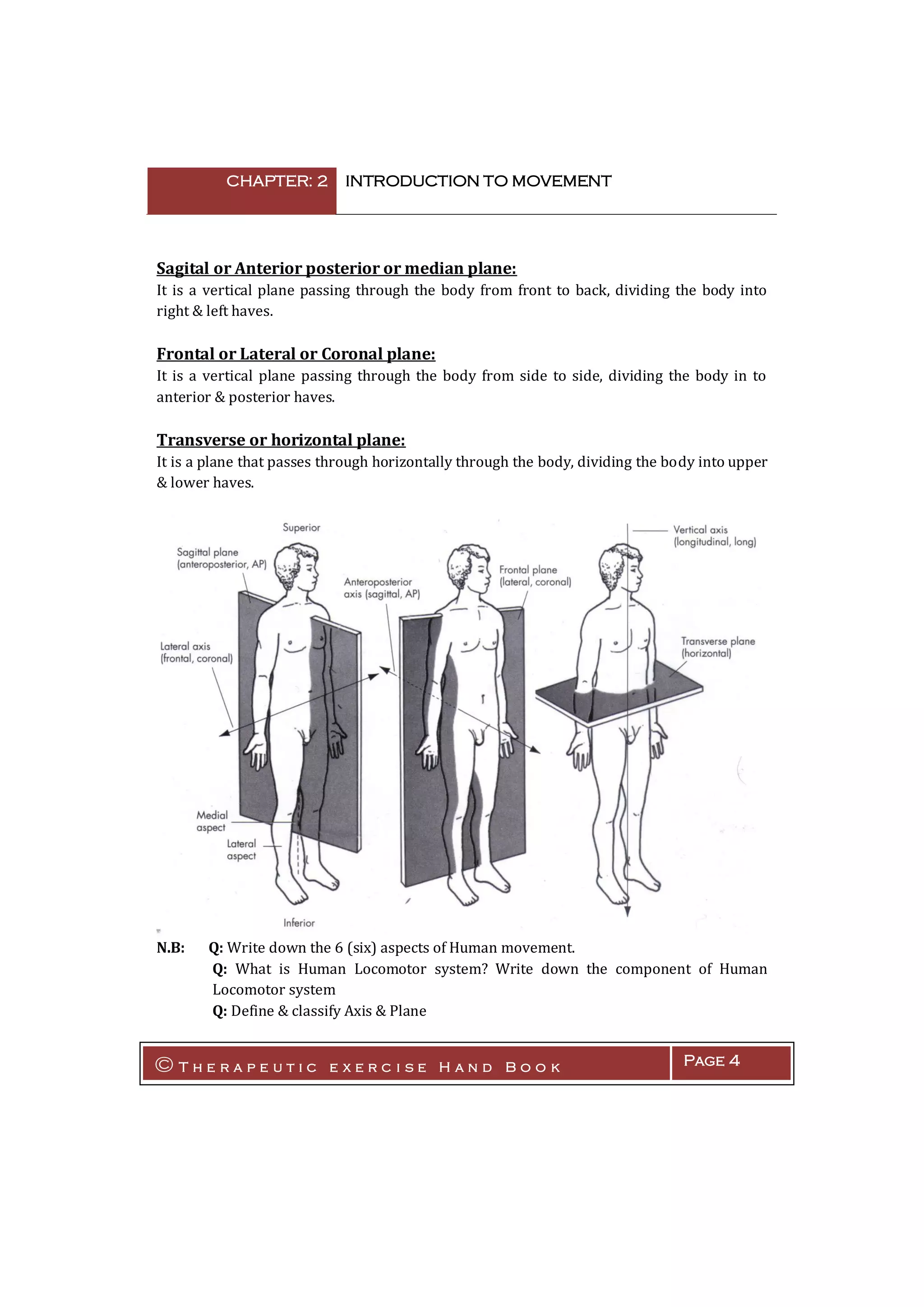 Human movement | PDF