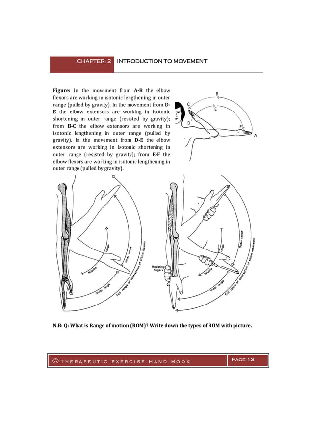 Human movement | PDF | Biological Sciences | Science