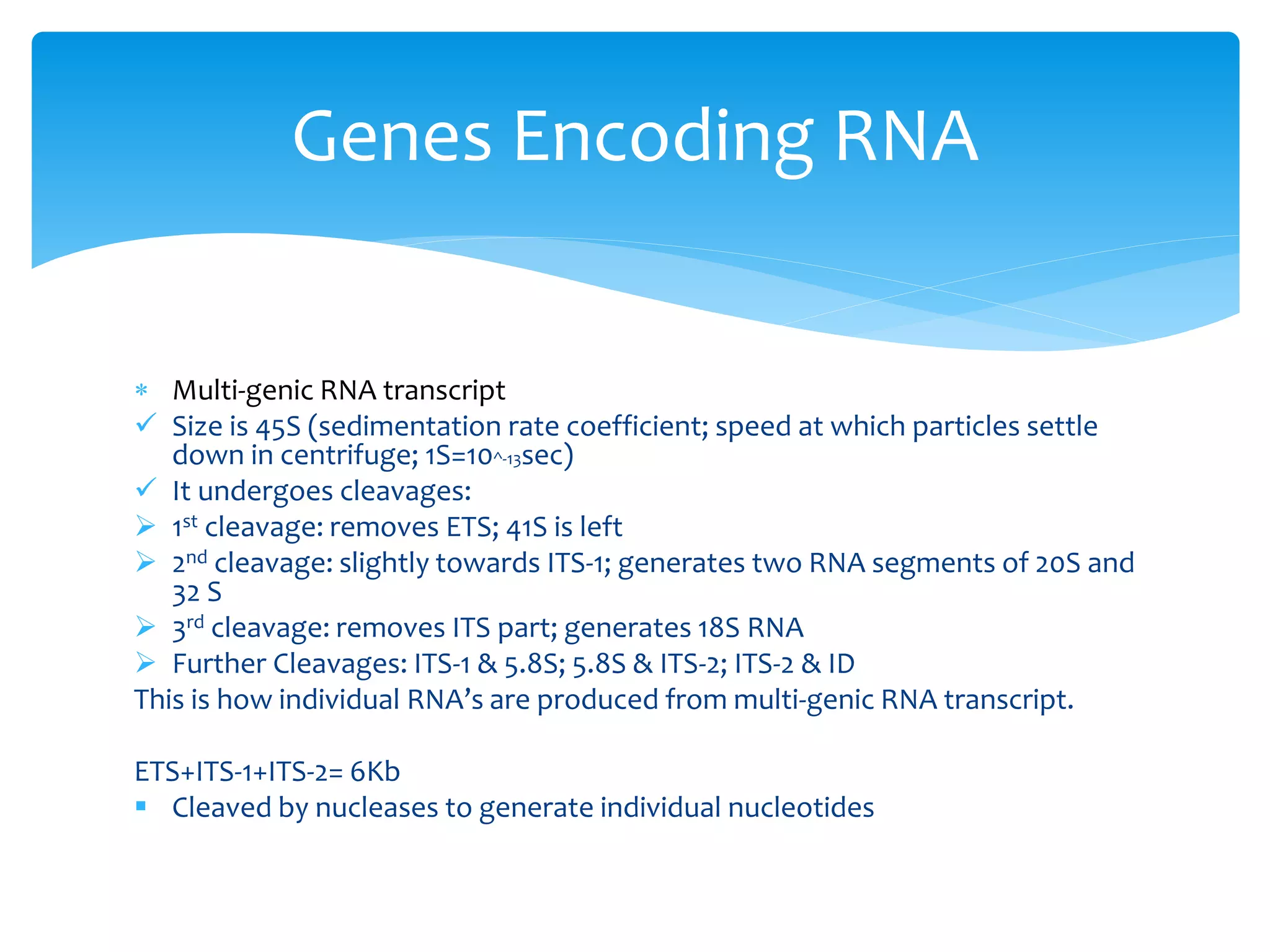 Human multi gene families | PPTX