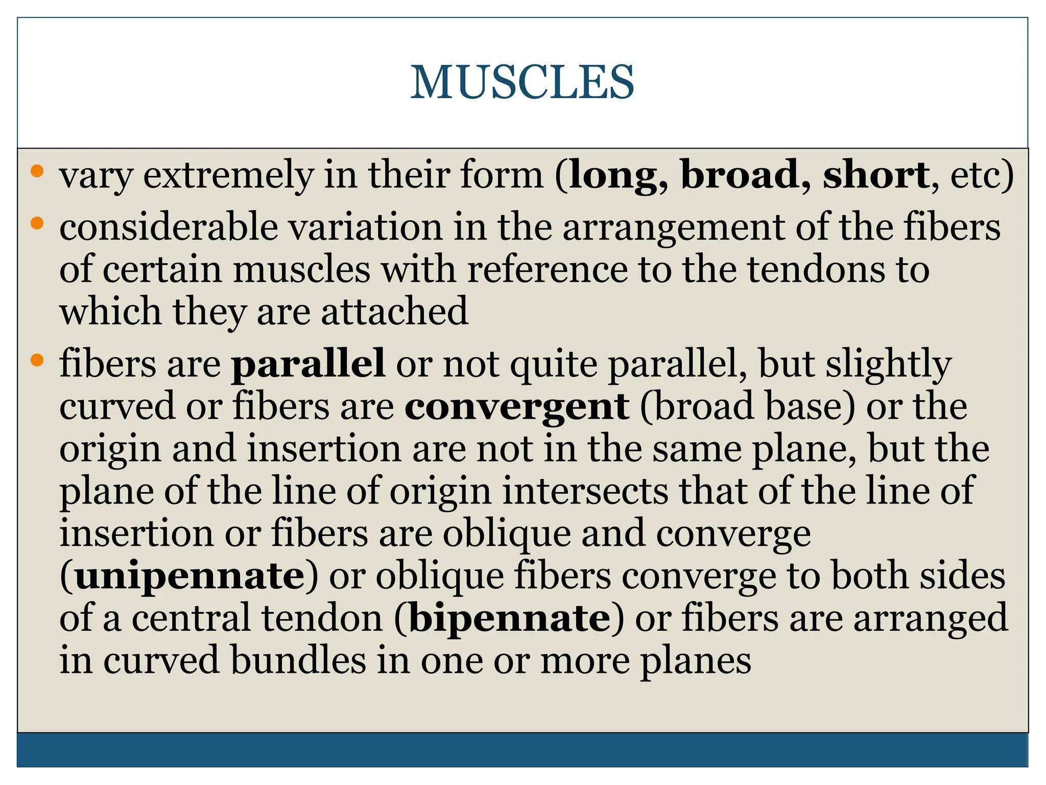 Human Muscles Overview and structural specifications .ppt