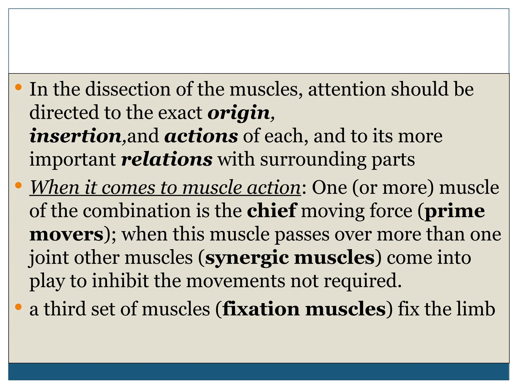 Human Muscles Overview and structural specifications .ppt