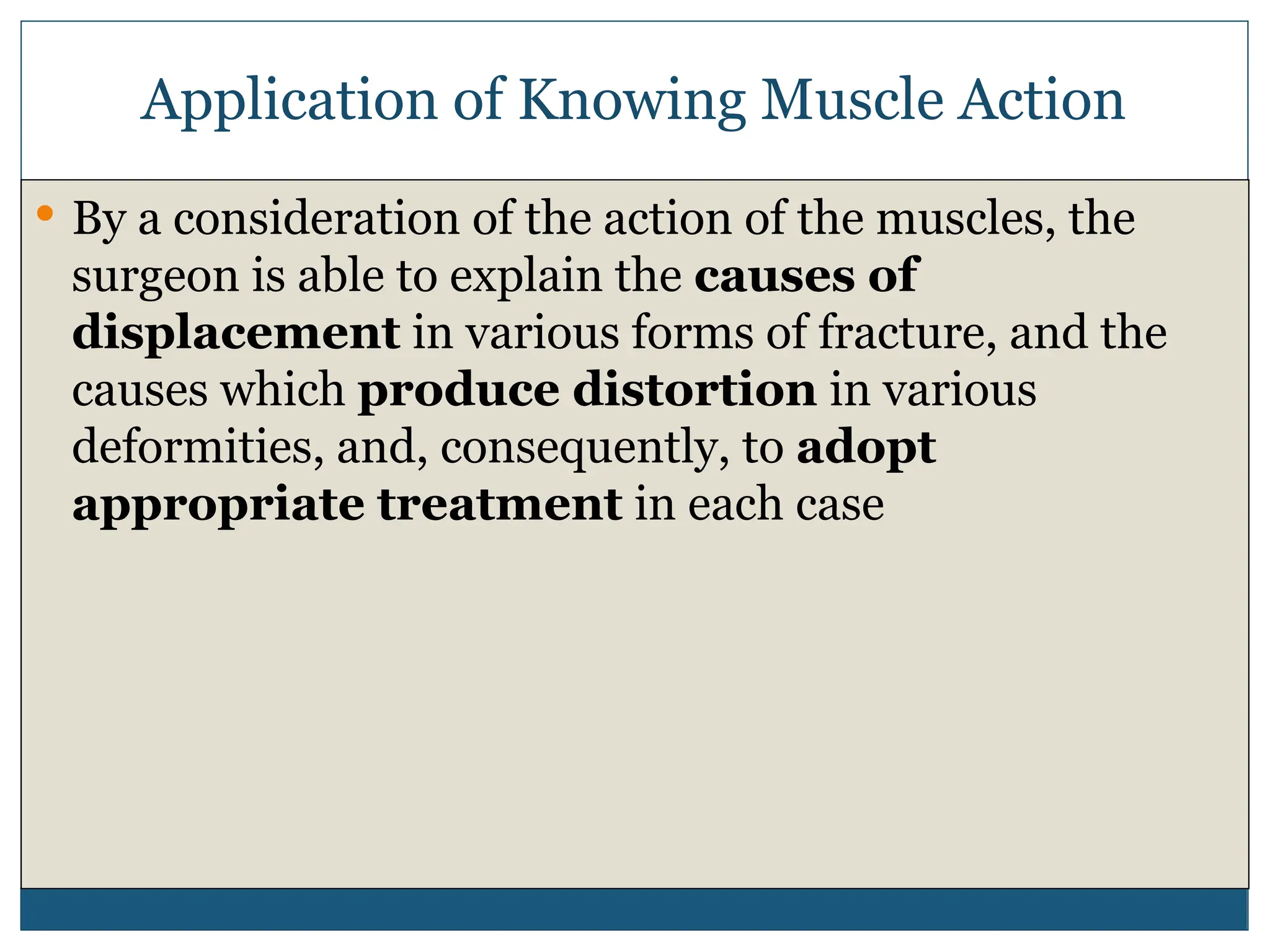 Human Muscles Overview and structural specifications .ppt