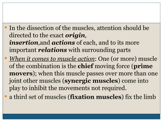 Human Muscles Overview and structural specifications .ppt