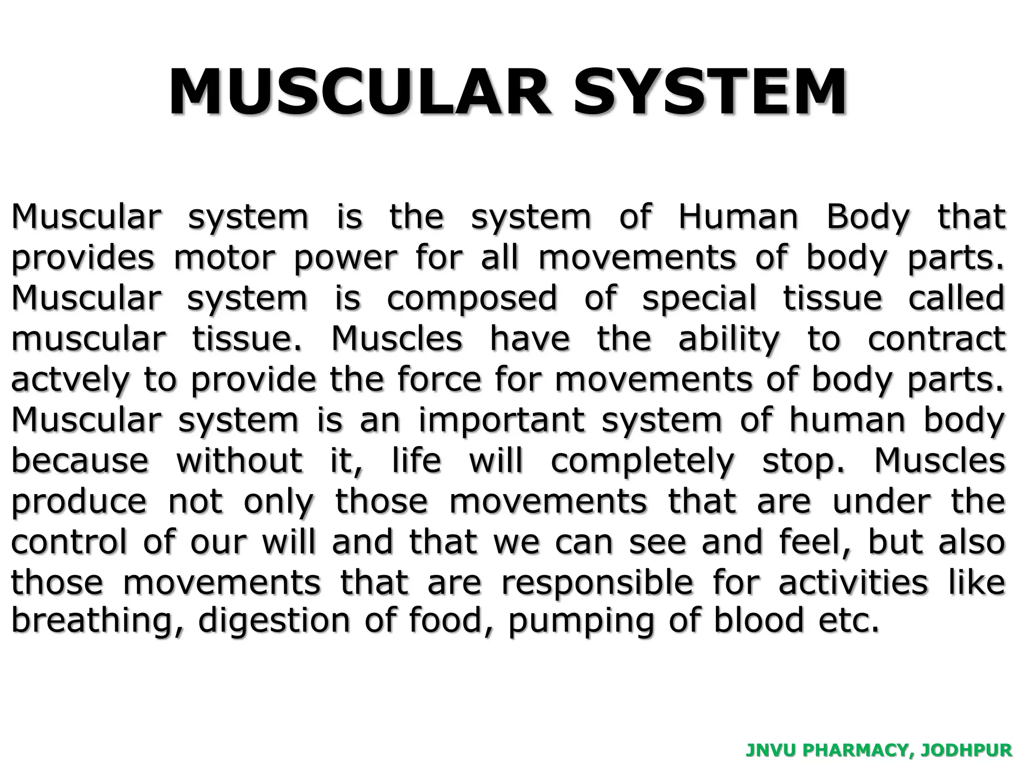 Human muscular system | PPTX