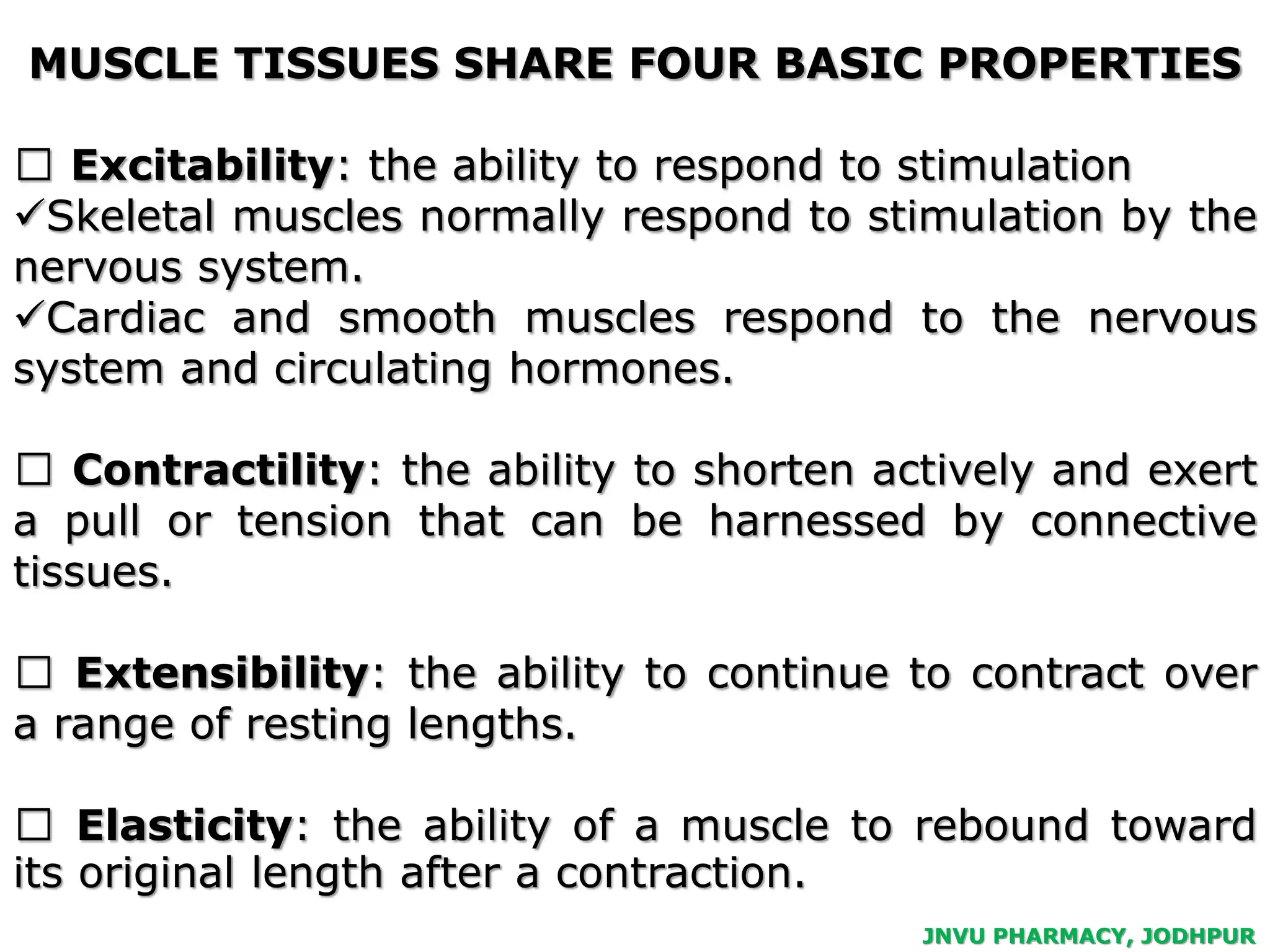 Human muscular system | PPTX