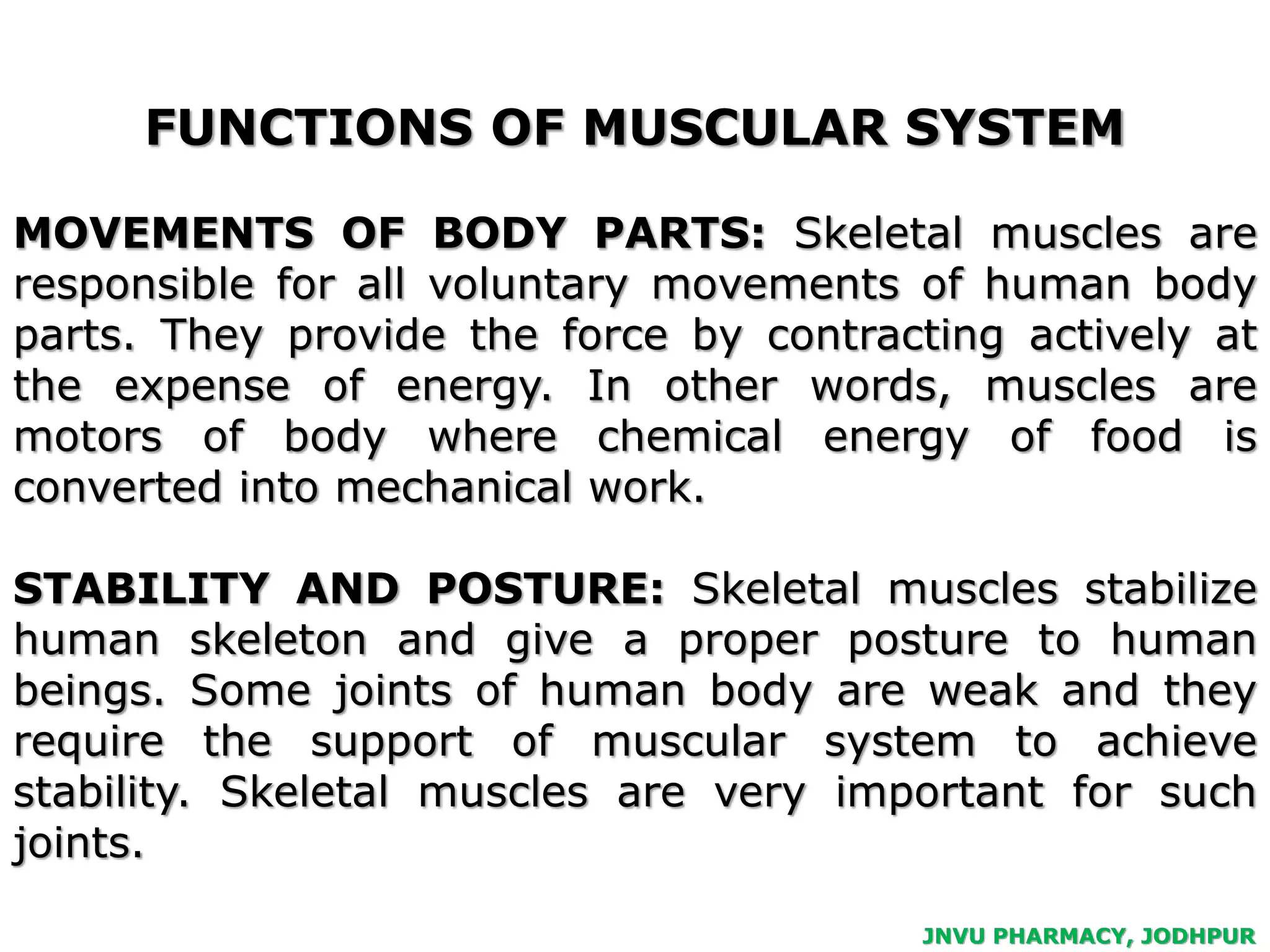 Human muscular system | PPTX