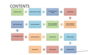 human mycosis Human fungal infections are called human mycosis..pptx