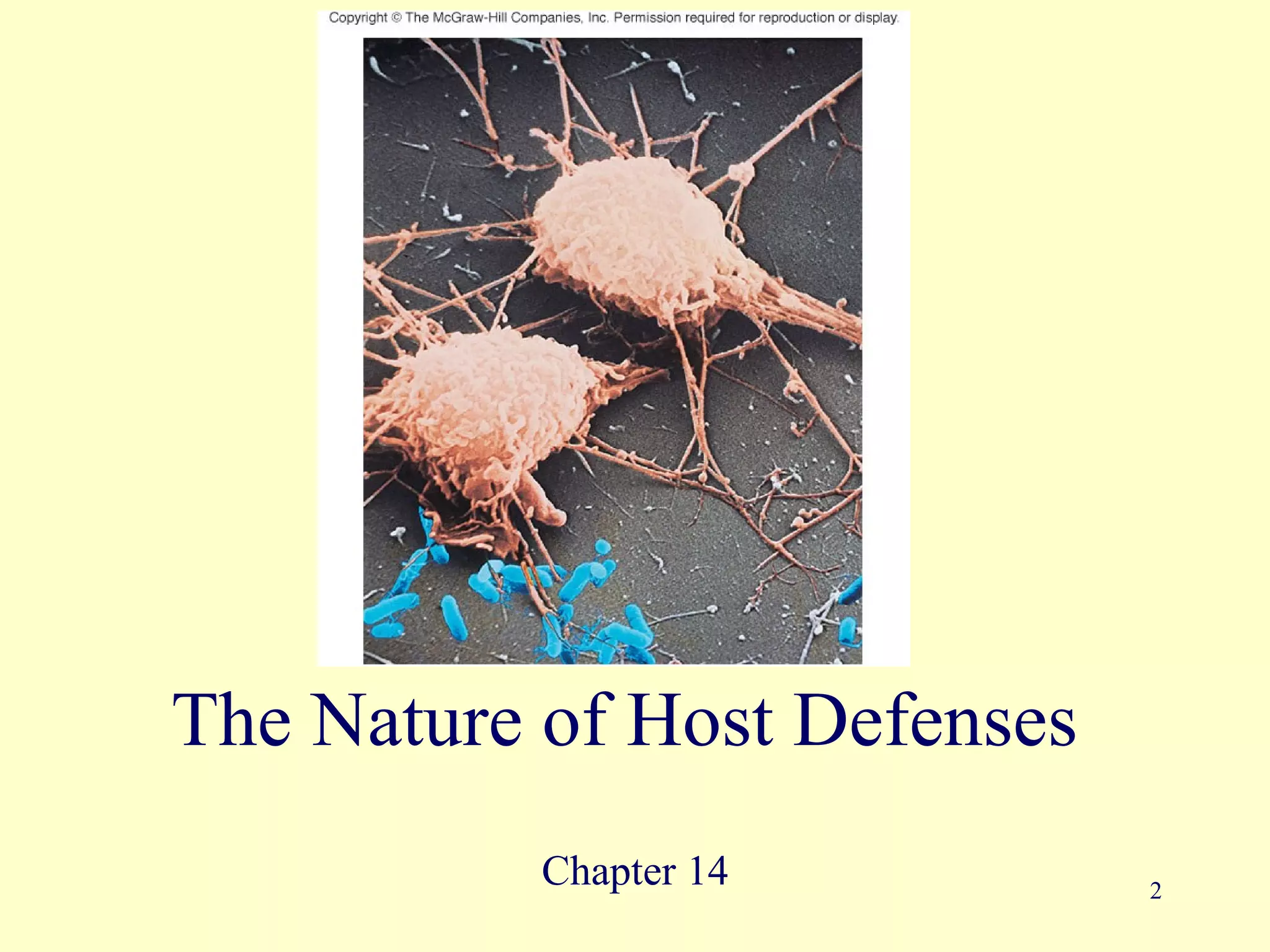 Human natural defence system | PPT