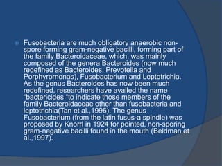 Human necrobacillus | PPT