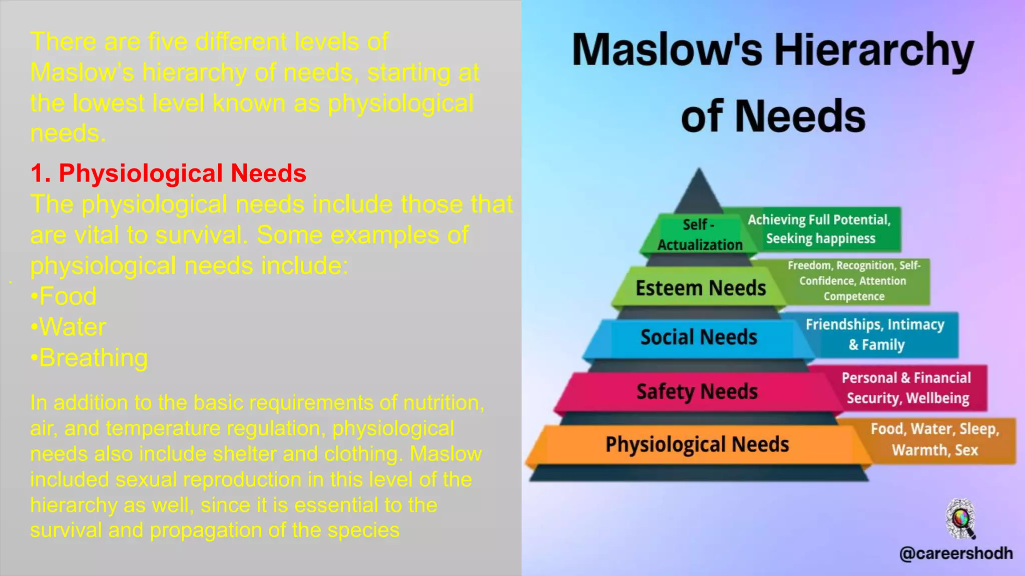 Human Need Theory.pptx