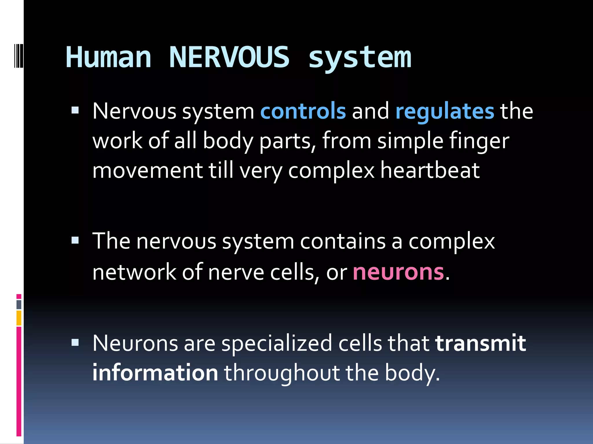 Human nervous system | PPTX | Brain and Nervous System Disorders ...
