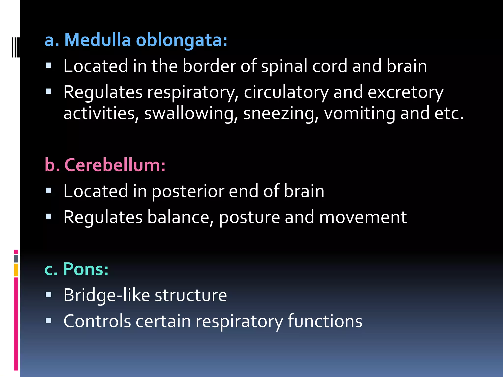 Human nervous system | PPTX