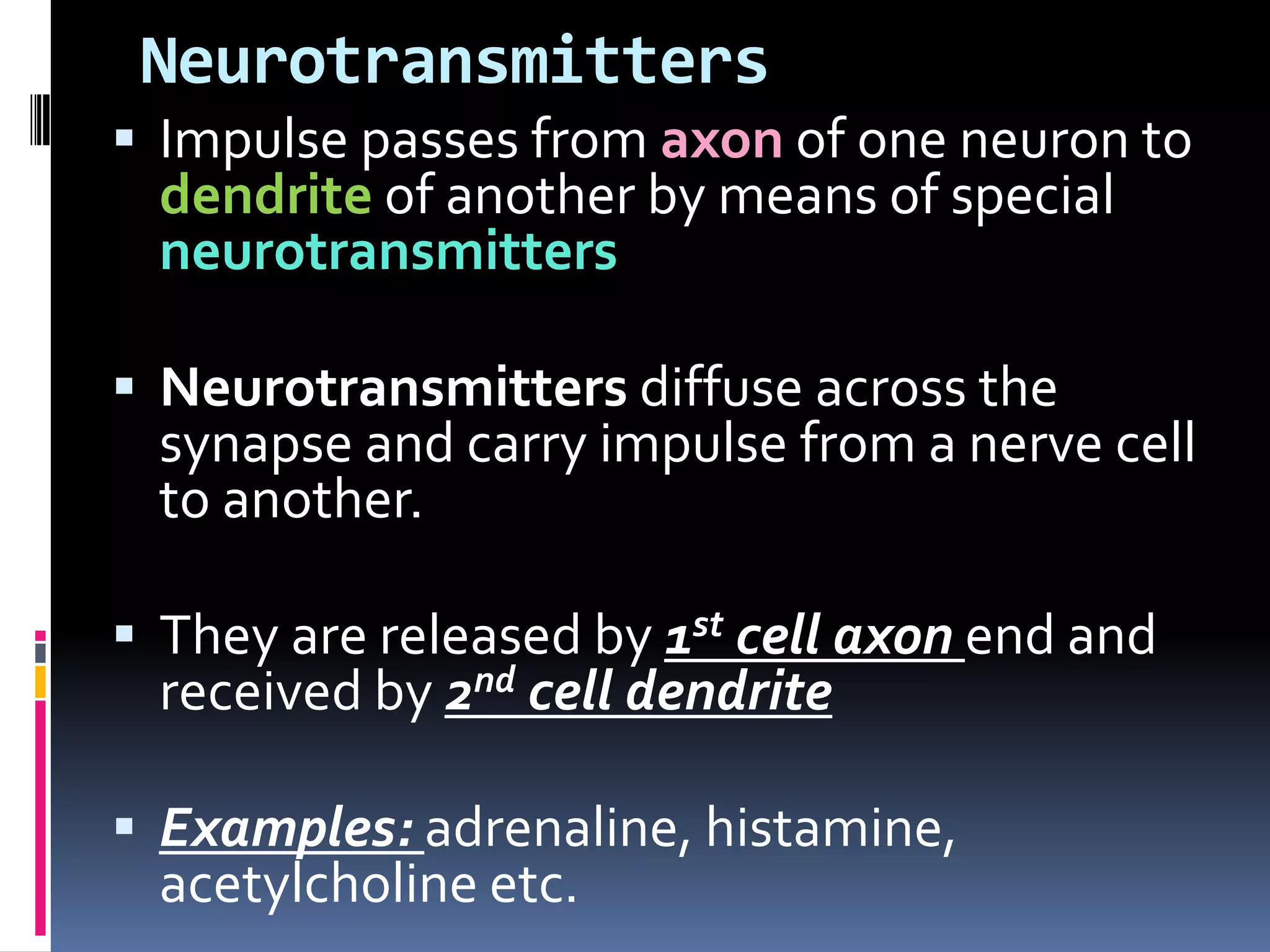 Human nervous system | PPTX