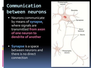 Human nervous system | PPTX
