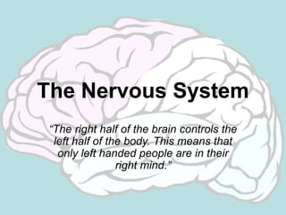 Human nervous system for allied health students.ppt