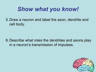 Human nervous system for allied health students.ppt