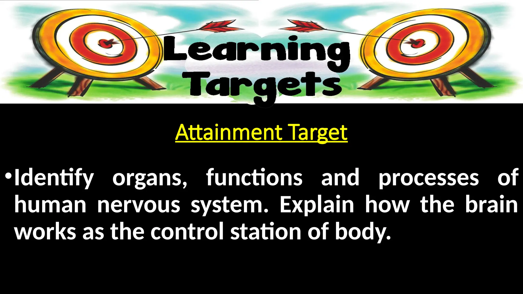 HUMAN NERVOUS SYSTEM power point presentation | PPTX