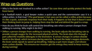 HUMAN NERVOUS SYSTEM power point presentation | PPTX