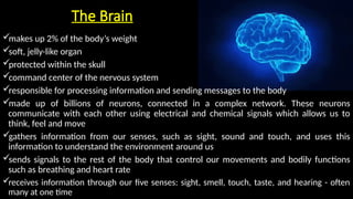 HUMAN NERVOUS SYSTEM power point presentation | PPTX