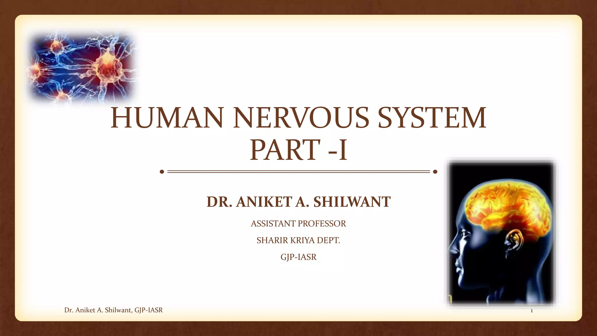 HUMAN NERVOUS SYSTEM PART 1 | PPTX