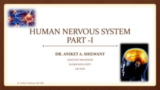 HUMAN NERVOUS SYSTEM PART 1 | PPTX