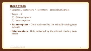 HUMAN NERVOUS SYSTEM PART 1 | PPTX