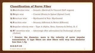 HUMAN NERVOUS SYSTEM PART 1 | PPTX