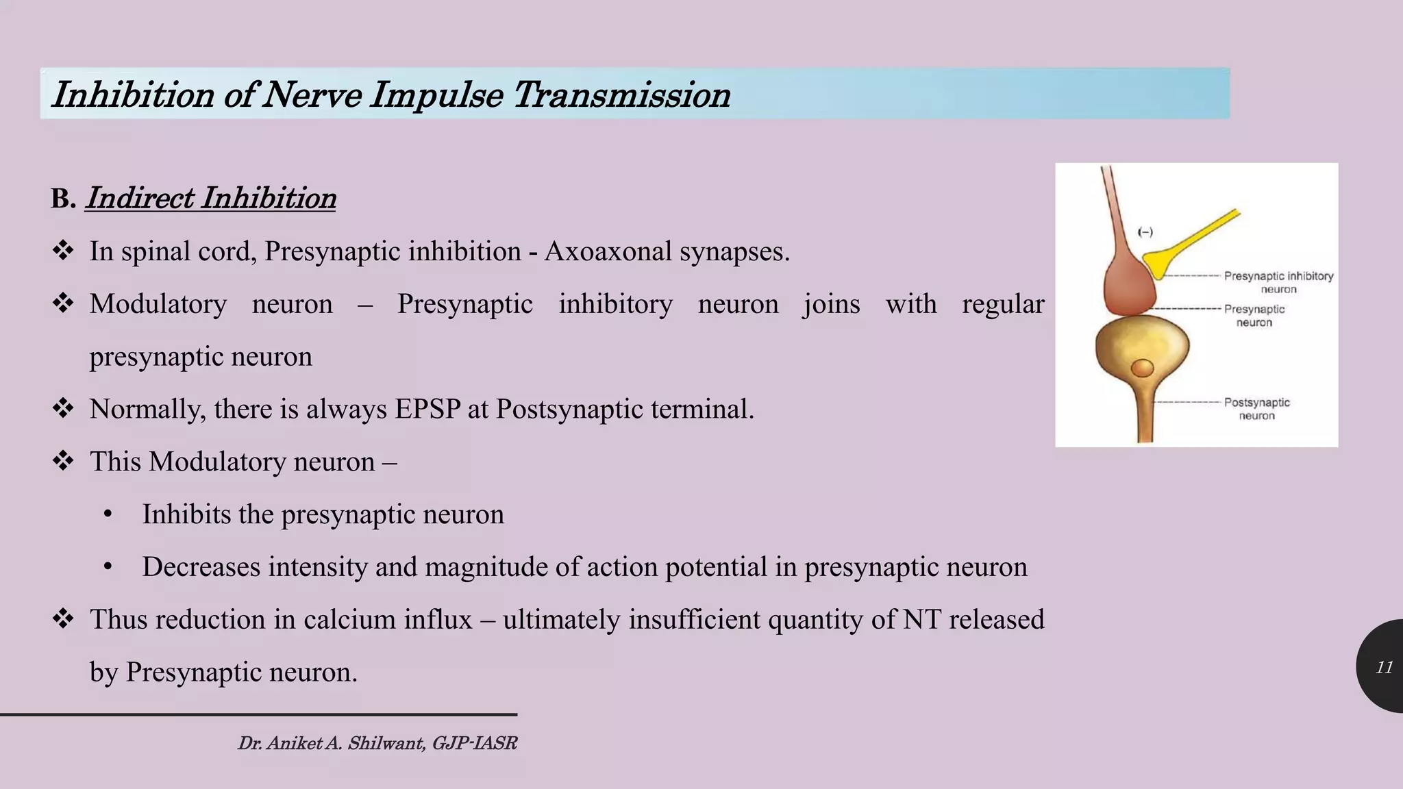 HUMAN NERVOUS SYSTEM PART II | PPT