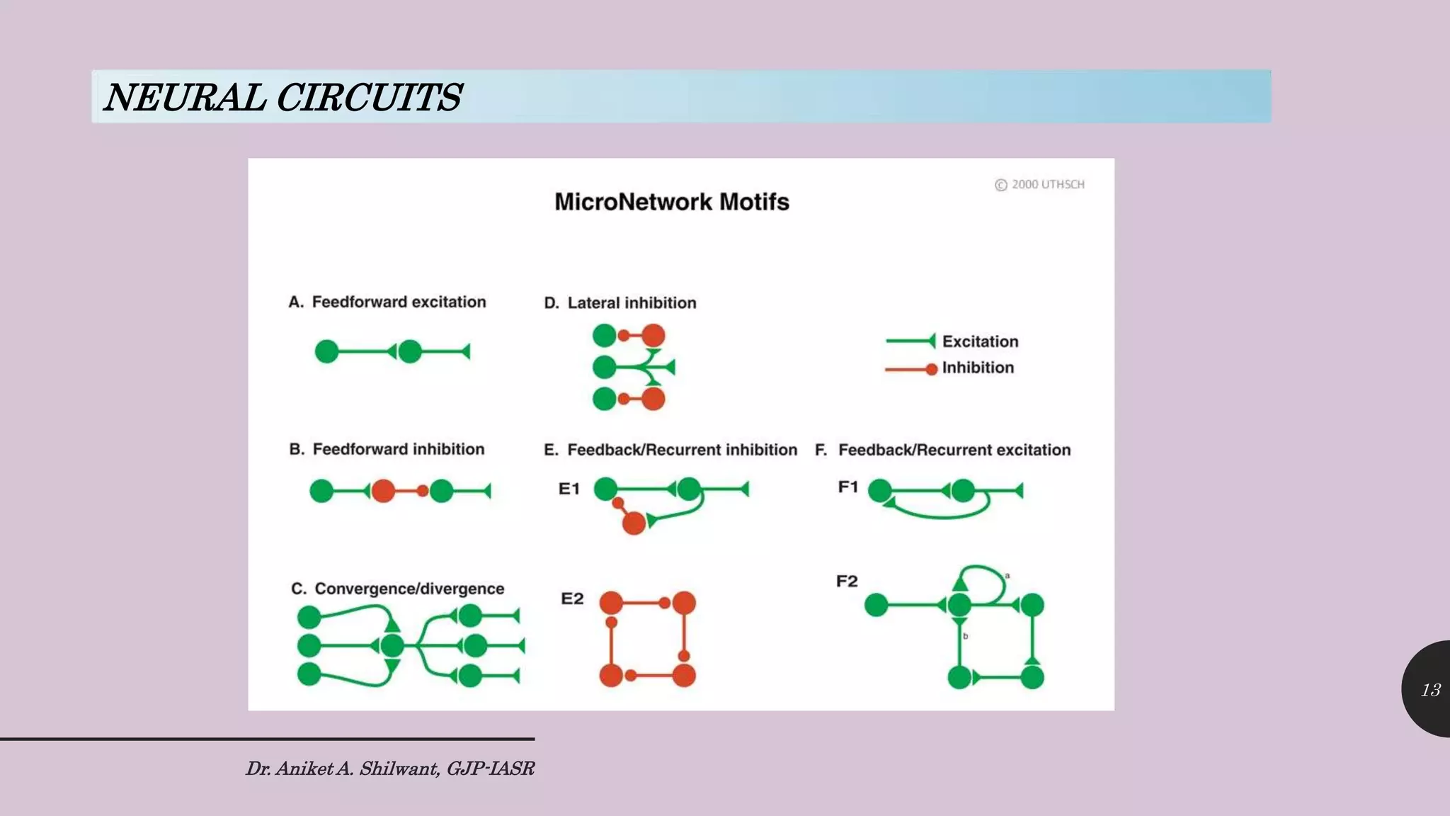 HUMAN NERVOUS SYSTEM PART II | PPT
