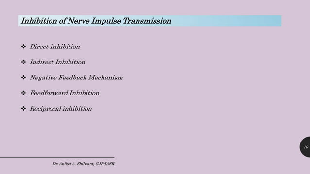 HUMAN NERVOUS SYSTEM PART II | PPT