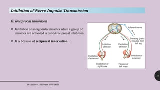HUMAN NERVOUS SYSTEM PART II | PPT