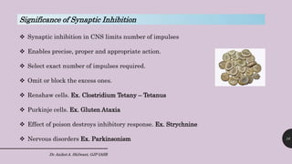 HUMAN NERVOUS SYSTEM PART II | PPT