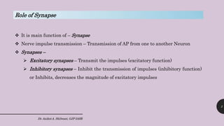 HUMAN NERVOUS SYSTEM PART II | PPT